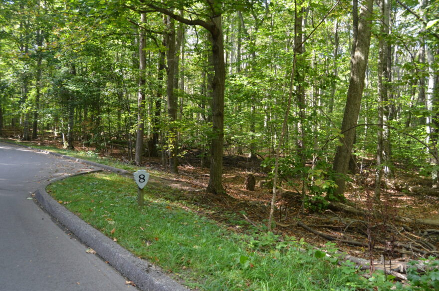 Pierce Stocking Scenic Drive - Twelve Stops You Must Make