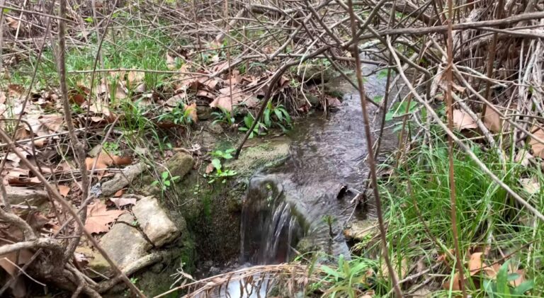 A Guide to 10 Things to Do in Bee Cave, Tx - Red Rock Scenic By Way